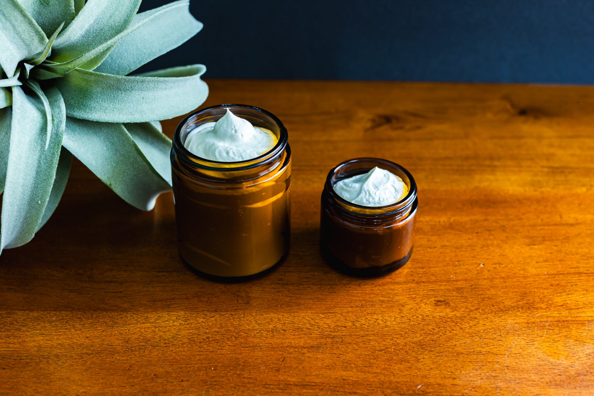Alpine Gold - Organic Tallow Skincare