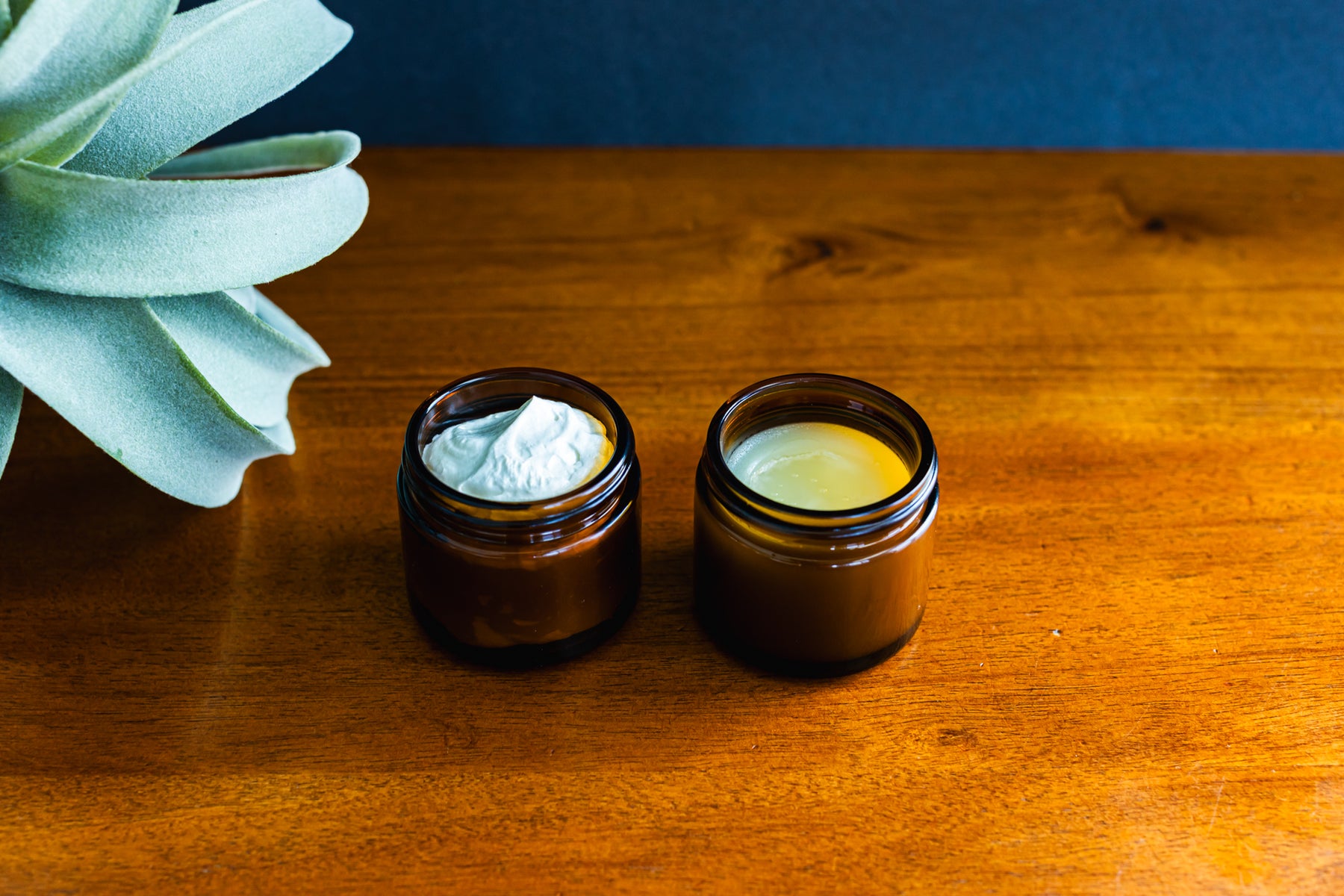 Alpine Gold - Organic Tallow Skincare